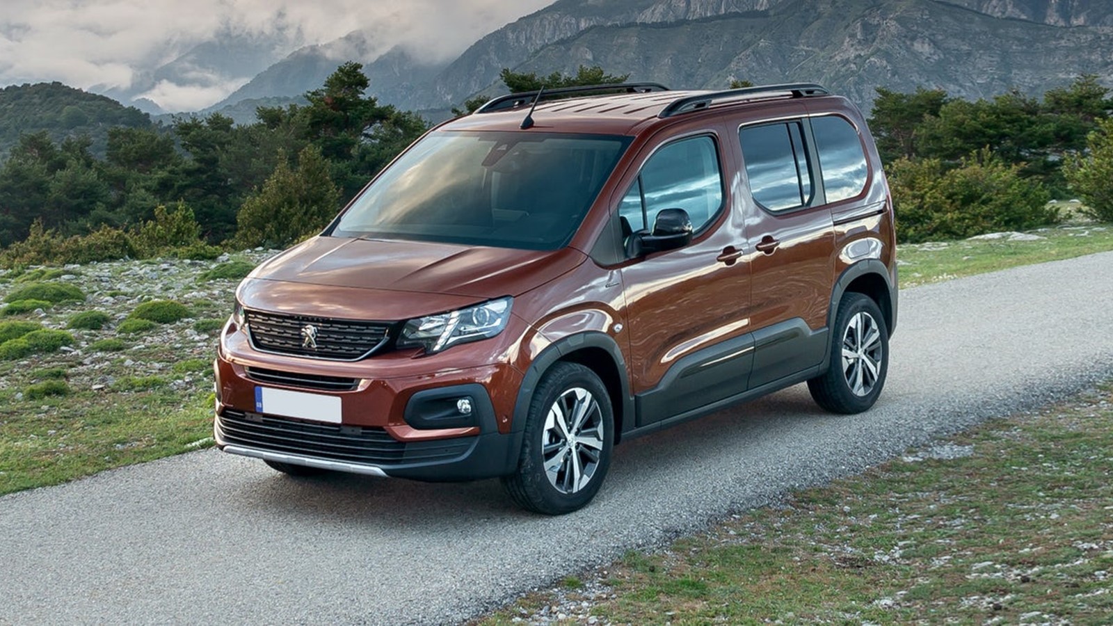 Los mejores coches para viajar con perros | Carwow